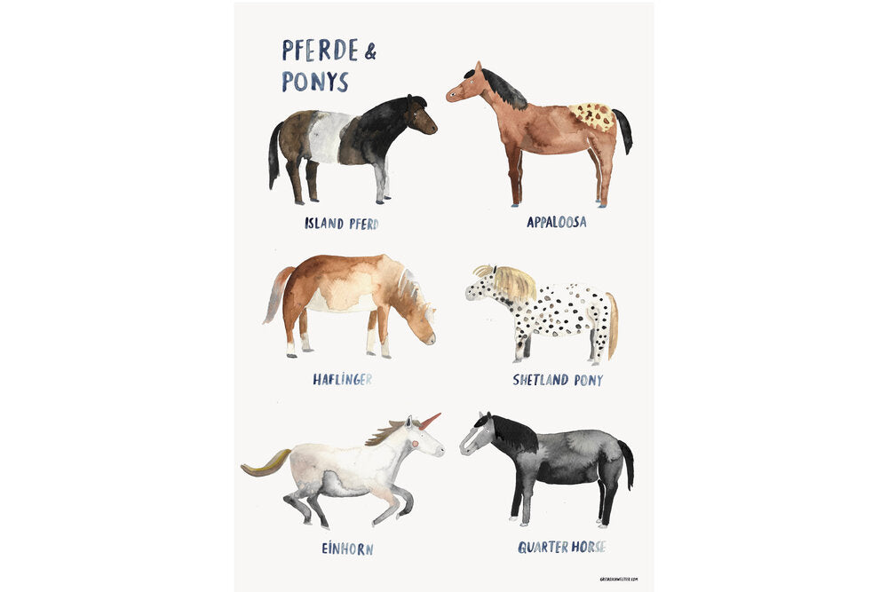 Poster Pferde & Ponys – Gretas Schwester